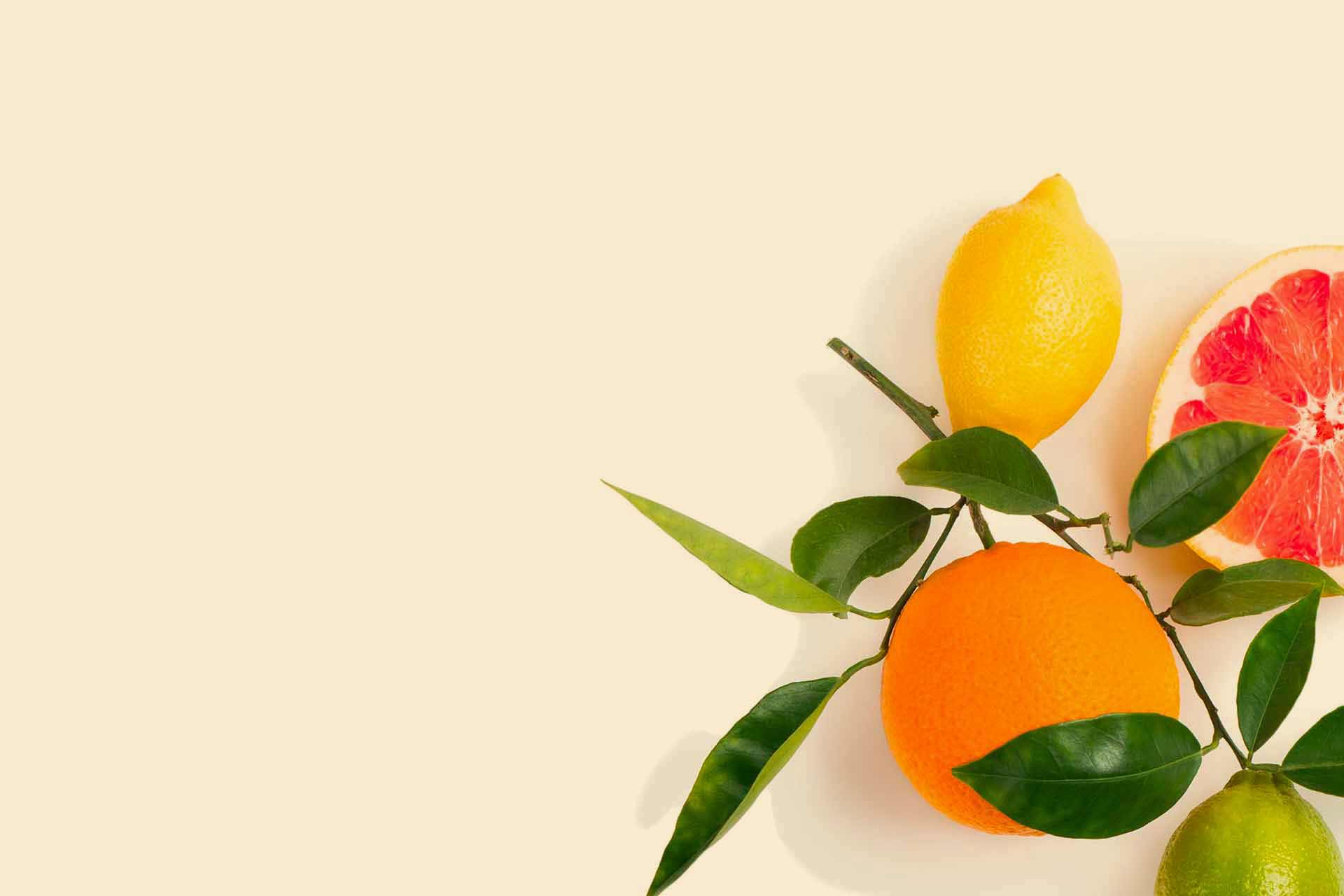 Everything Michigan Dispensary Visitors Need to Know About Terpenes ...