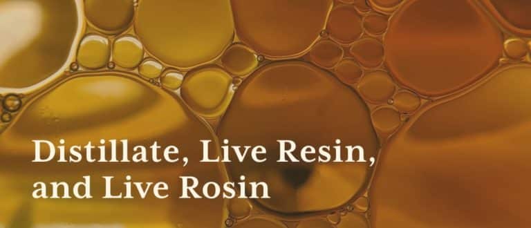 Cannabis Distillate vs. Live Resin vs. Live Rosin: What’s the ...